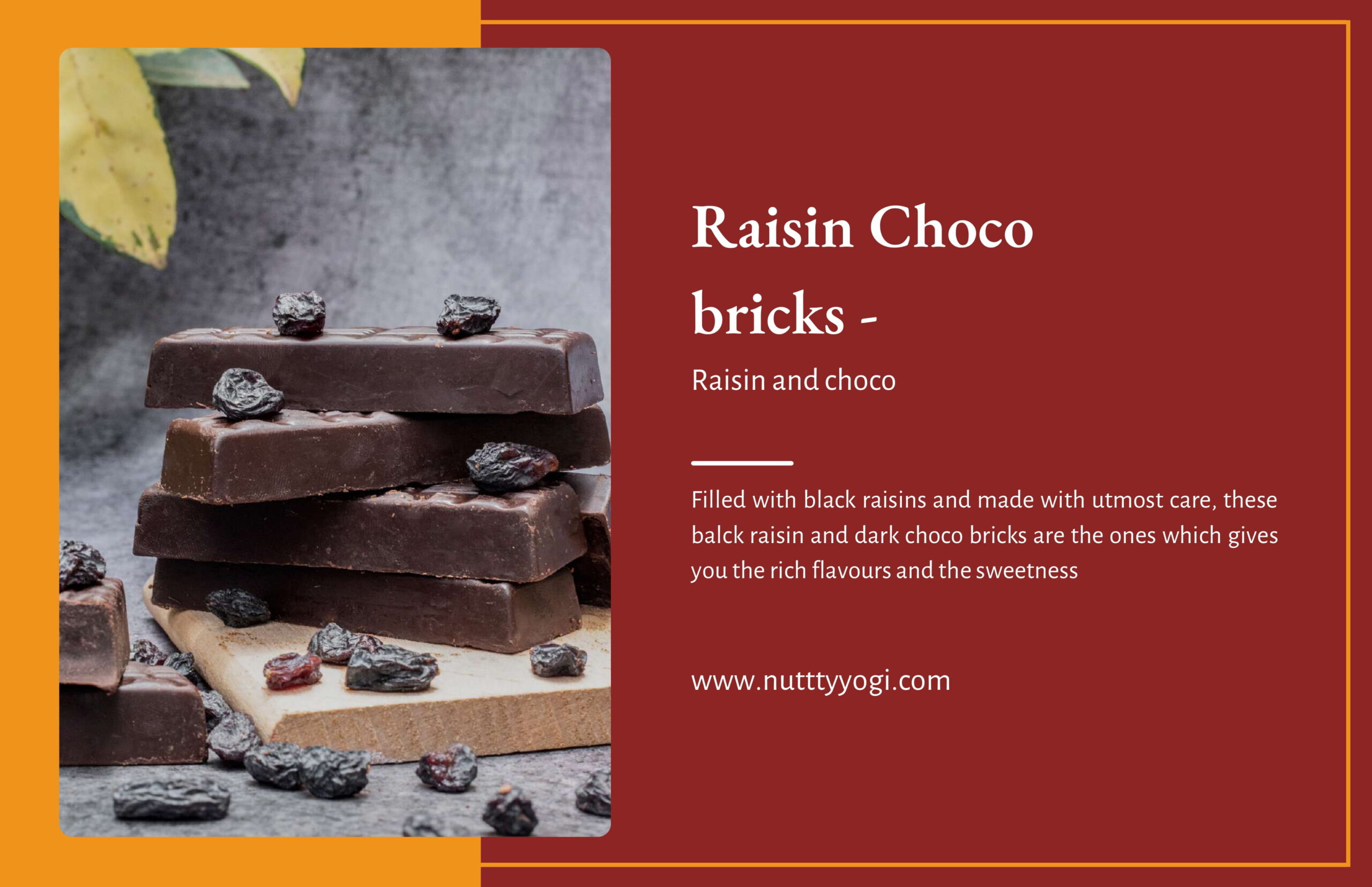 Raisin Choco bricks - Gaadiva